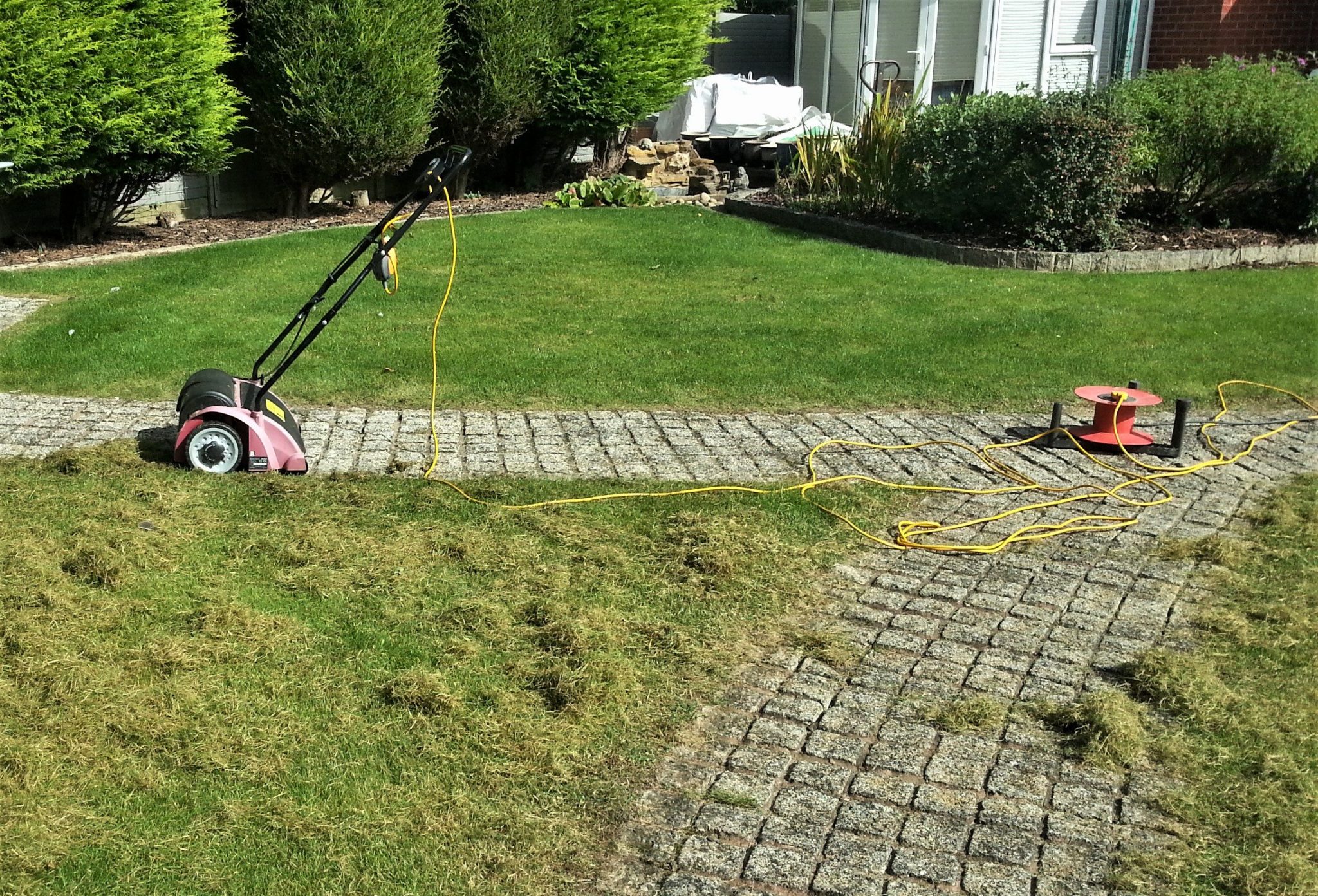 How to scarify your lawn - My Fabulous Garden