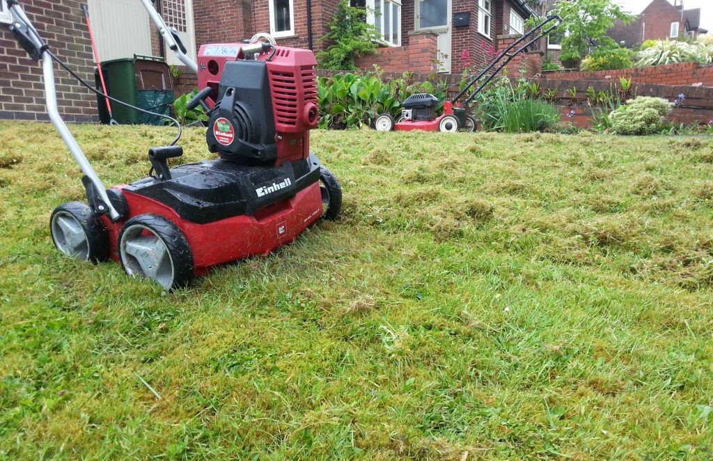 How to scarify your lawn - My Fabulous Garden