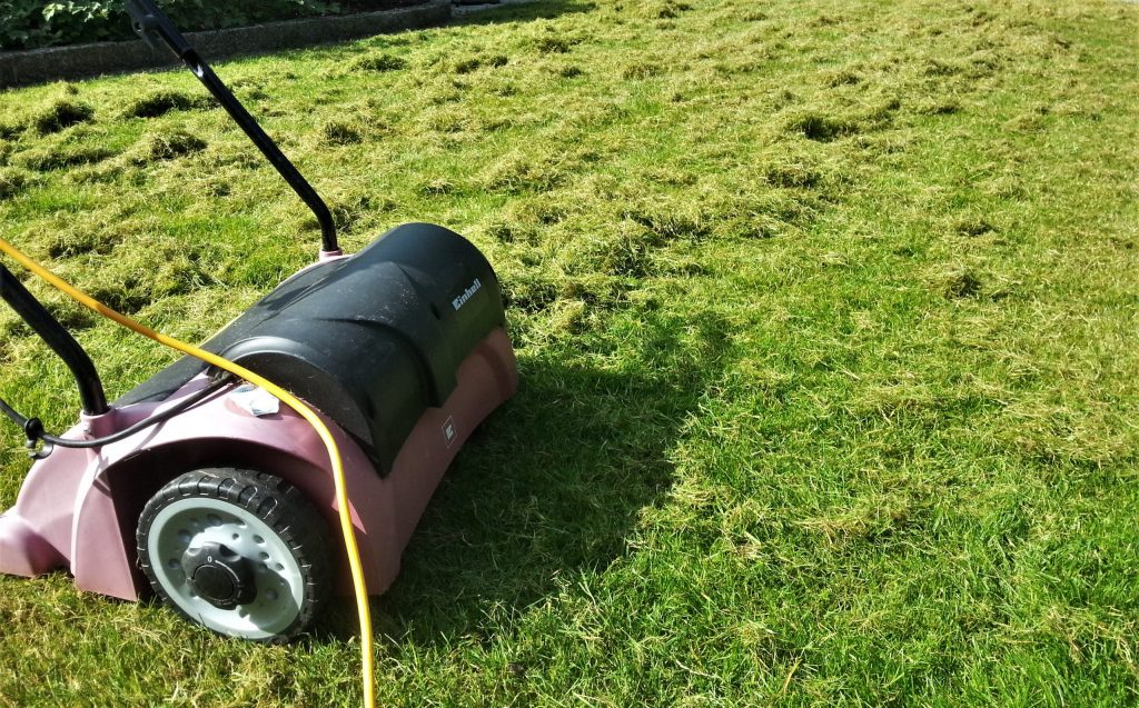 How to scarify your lawn - My Fabulous Garden